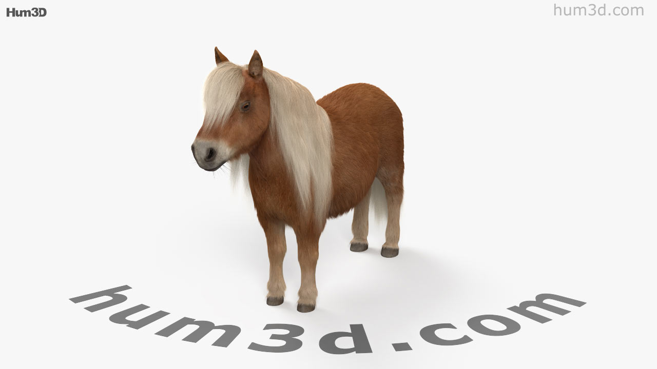 Toys 3D Printed Micro Mini Shetland Pony Miniature Toys etna.com.pe