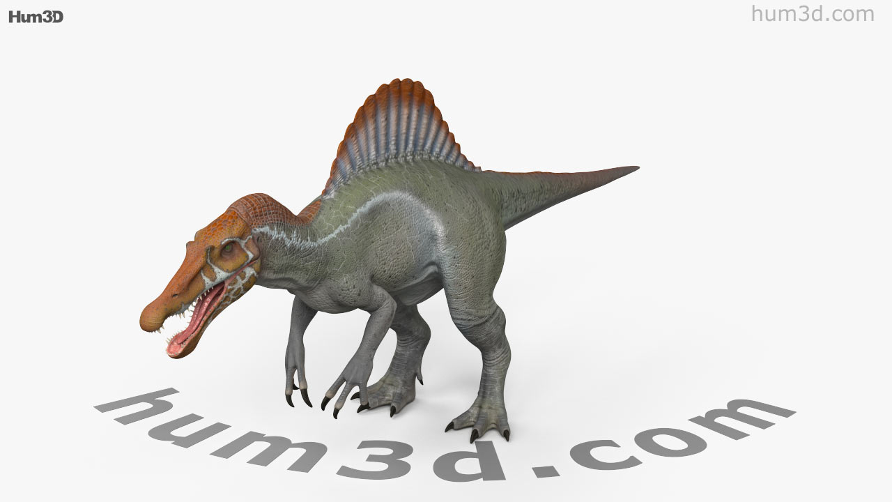 360 view of Spinosaurus 3D model - Hum3D store